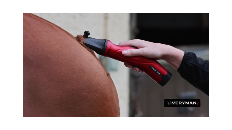 Phoenix – Liveryman Clippers and Trimmers