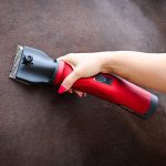 Phoenix – Liveryman Clippers and Trimmers